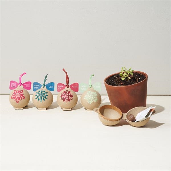Modern Sprout® Seed Ornament - Blue Sky Marketing